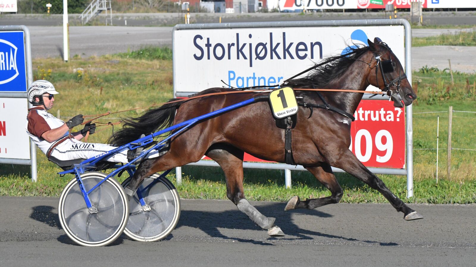 Avlivet: - Kroppen sa stopp Avlivet: - Kroppen sa stopp